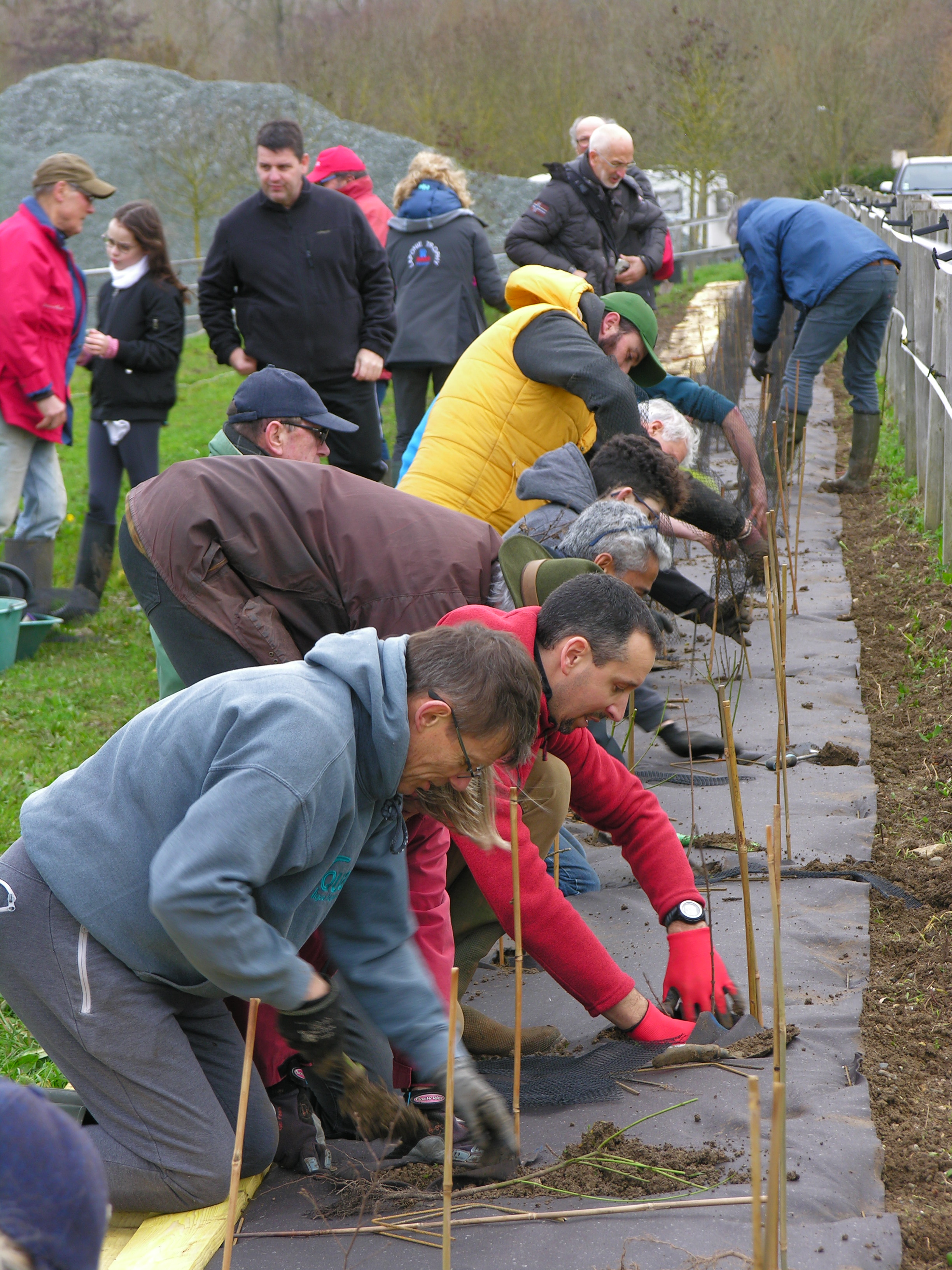 LA GARETTE Plantation arbres 1er février 2020 Photo Gilles PETIT 7785 ...